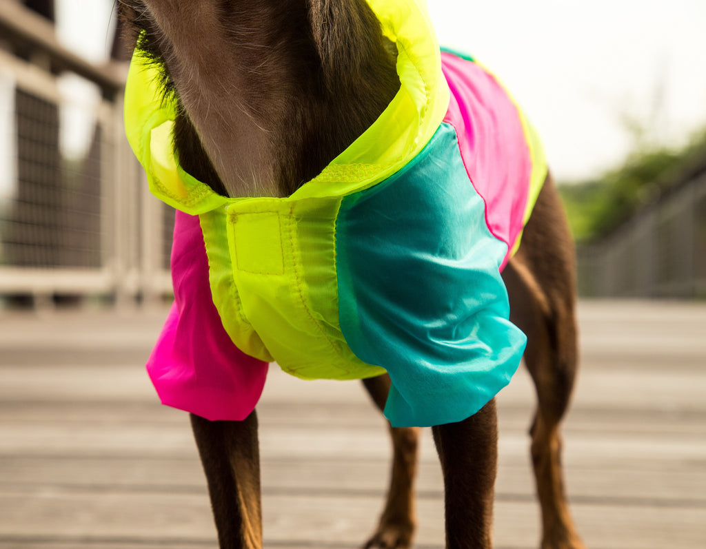 Neon UV-Protection Jacket For Small Dogs – Baja Ponchos